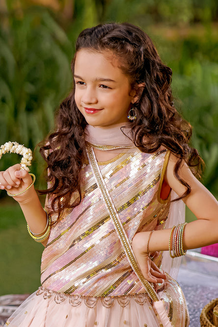 Embroidered Raw Silk Screen Print Lehenga Choli | Eid Affairs | L3036 ...