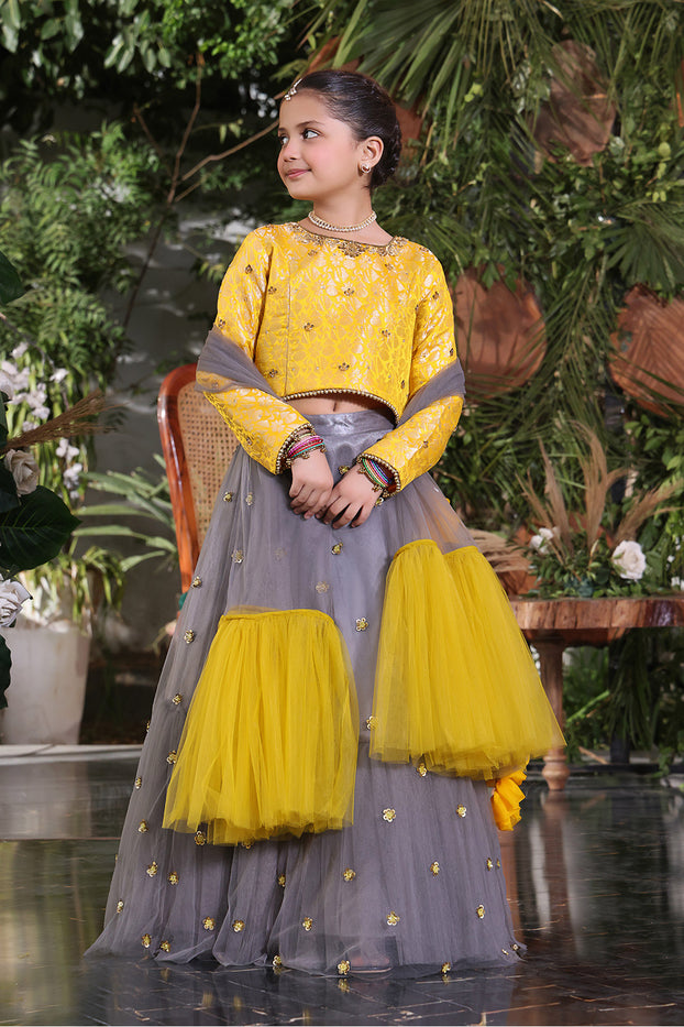 Handwork Embroidered Banarsi Net Lehenga Choli | SHENDI | L3244 – SANA'S