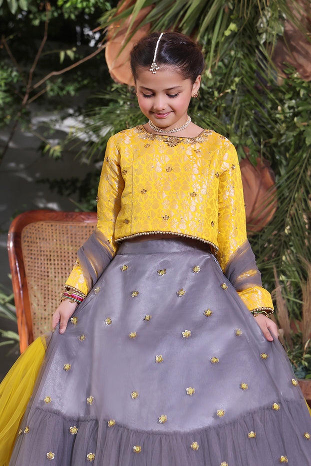 Handwork Embroidered Banarsi Net Lehenga Choli | SHENDI | L3244 – SANA'S